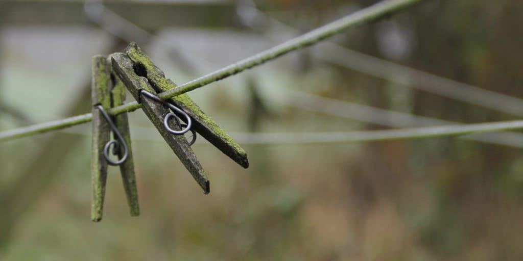 Wax Sister/Bone Sister by Elizabeth Hopkinson - Reflex Press